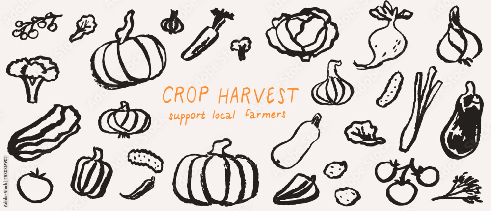 Hand drawn vegetables in minimalist ink brush charcoal style ...