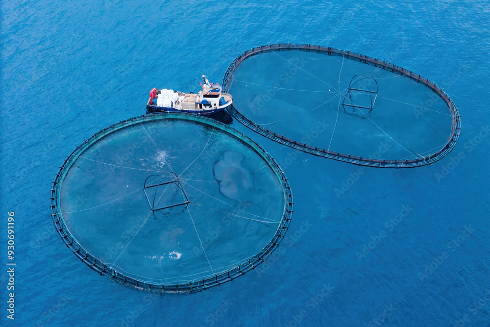 Photo Stock Service boat feeding fish on offshore aquaculture in calm ...