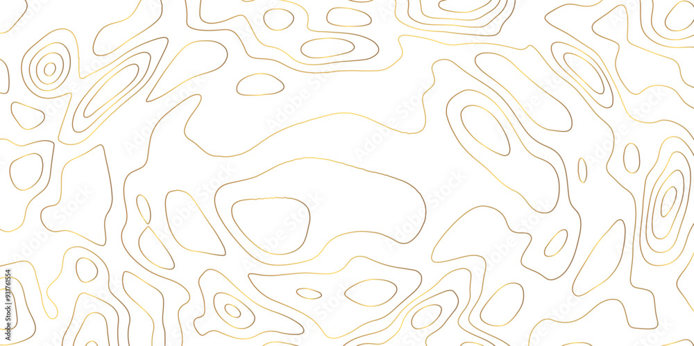 Topography topology vector curves contour map texture wallpaper for ...