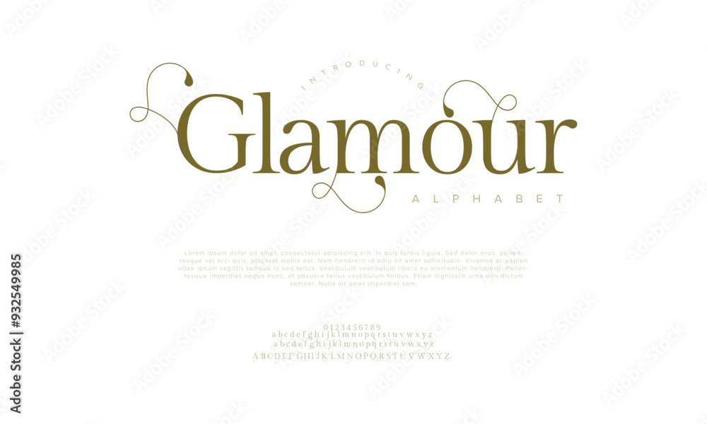 Glamour swash luxury elegant alphabet letters and numbers. Vintage ...