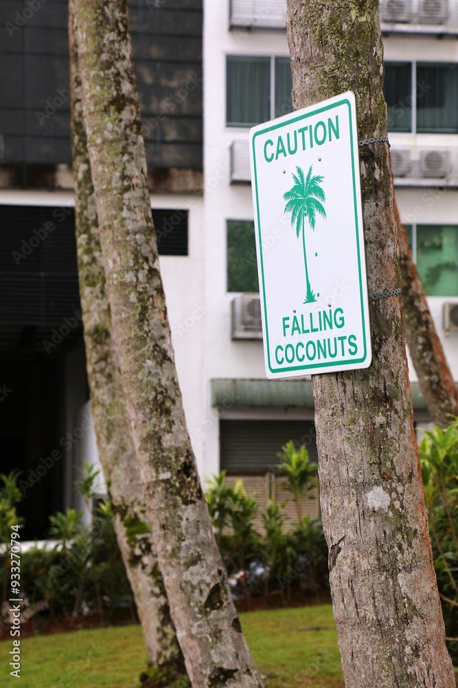 Falling coconuts warning sign in Malaysia Stock Photo | Adobe Stock