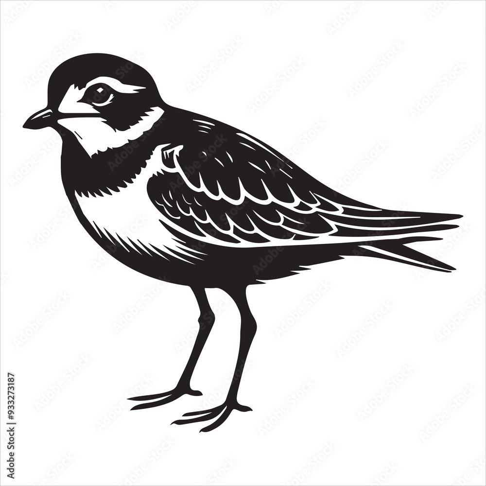 Piping Plover Silhouette - Plover Birt Clipart, Piping Plover Facing ...
