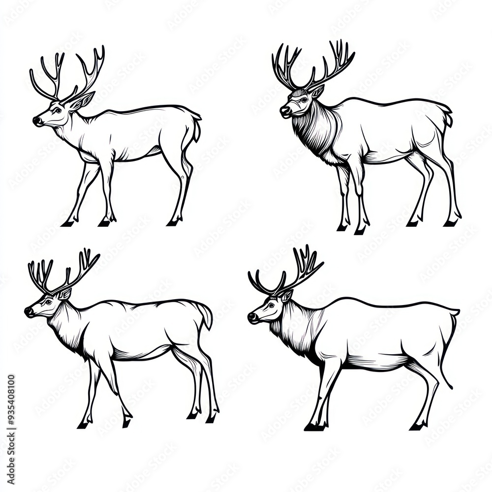 Illustration of four reindeer in various poses, showcasing their ...