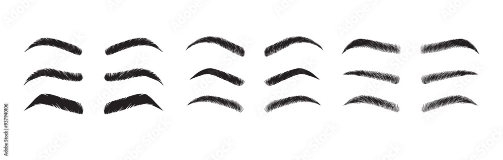 Isolated Eyebrows set Cartoon. Eyebrow makeup template. Classic brow ...