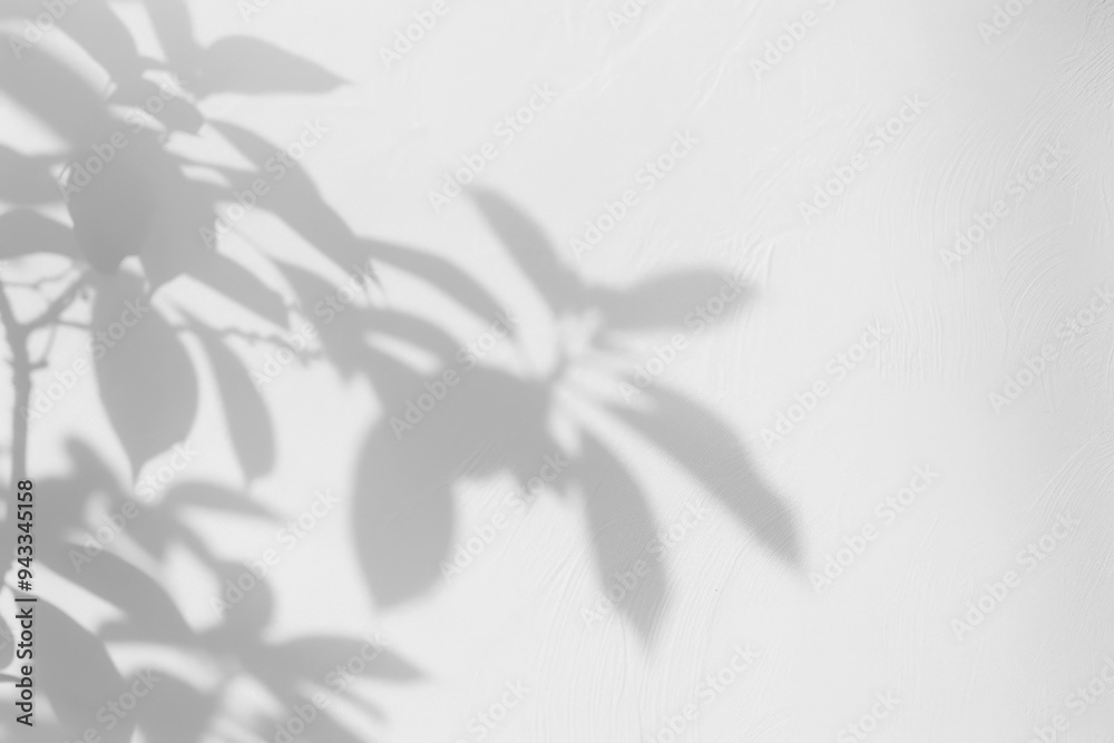 PNG Soft shadow plant leaves Stock Photo | Adobe Stock