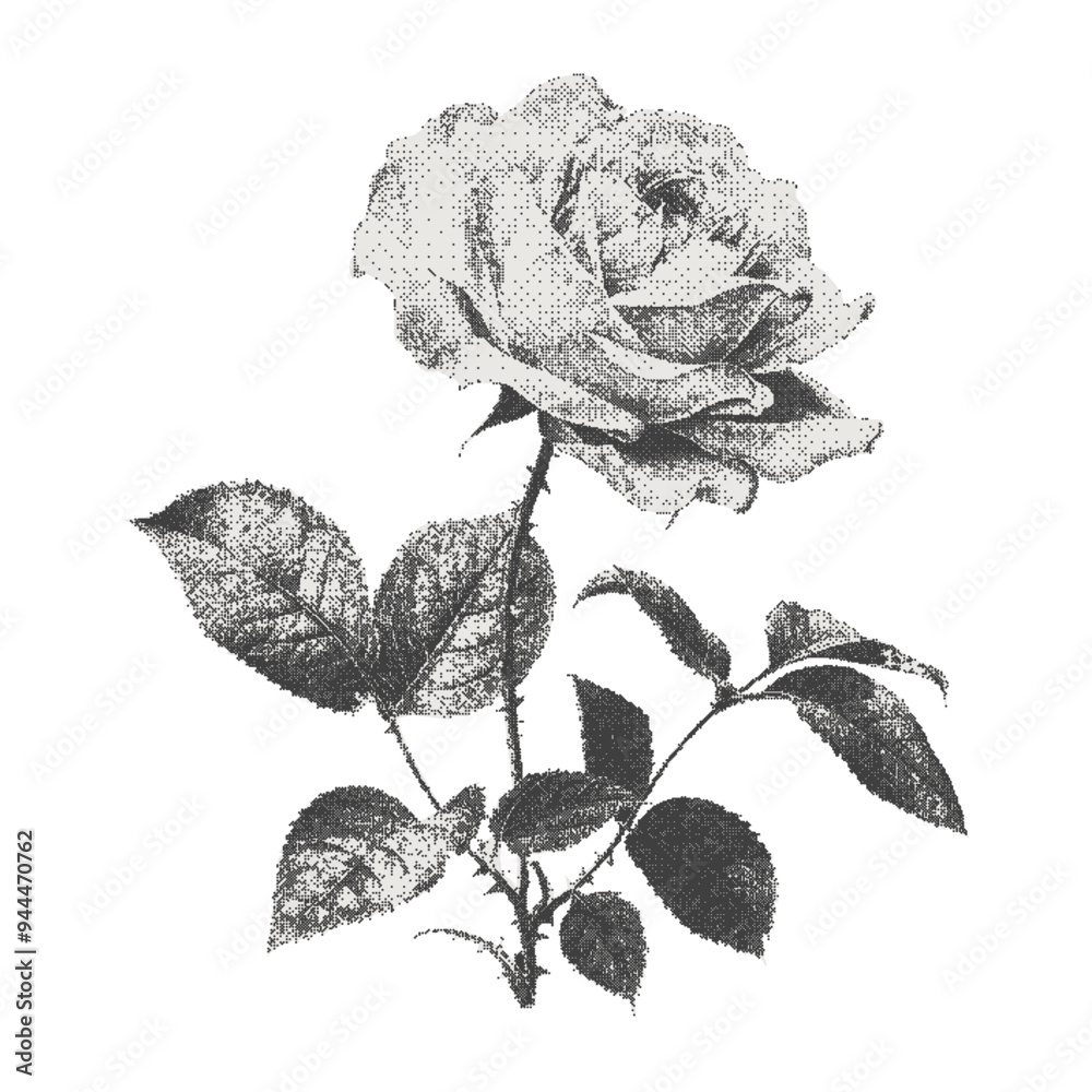 Vintage rose flower. Collage with a girly aesthetic. Retro bitmap ...