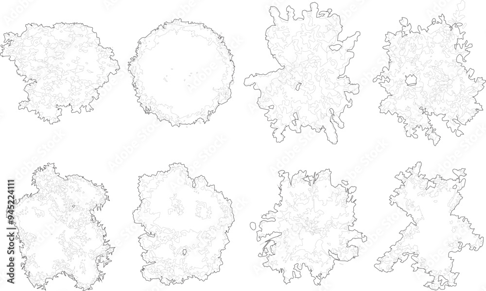 Tree plan outline silhouettes - top view 5 Stock Vector | Adobe Stock