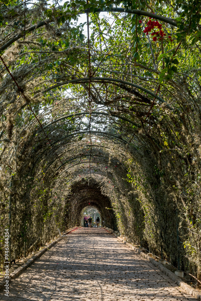 Parque Maeda em Itu, SP- Um Refúgio de Natureza, Diversão e Tradição ...