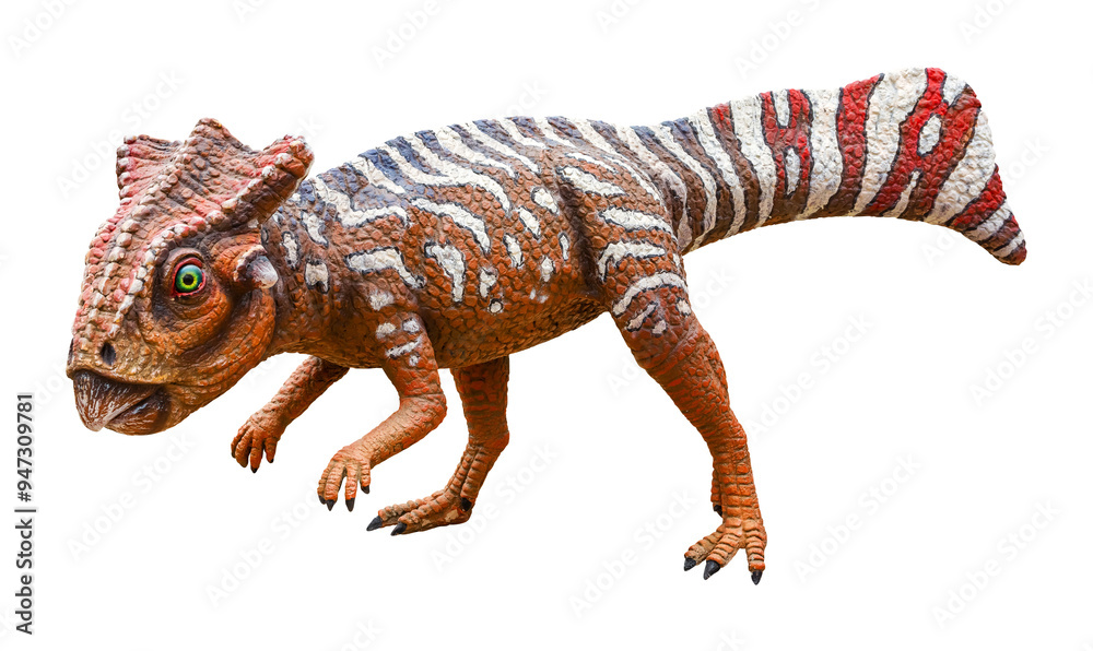 Koreaceratops is a herbivore genus of basal ceratopsian dinosaurs ...