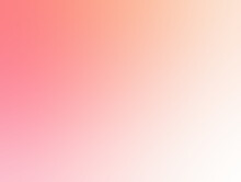 Off White And Yellow Gradient Rose Free Stock Photo - Public Domain ...