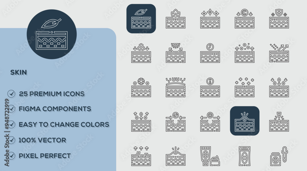 Skin Icons set. Vector illustration in modern thin line style of ...