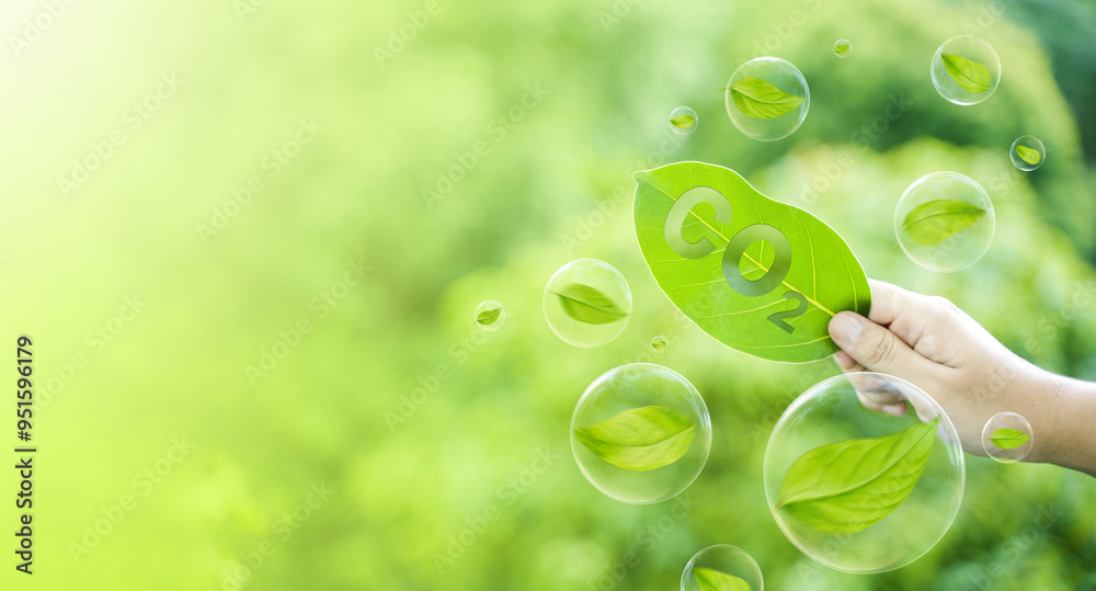 Reduce CO2 emissions to limit climate change and global warming. Tree canopies protect against ...