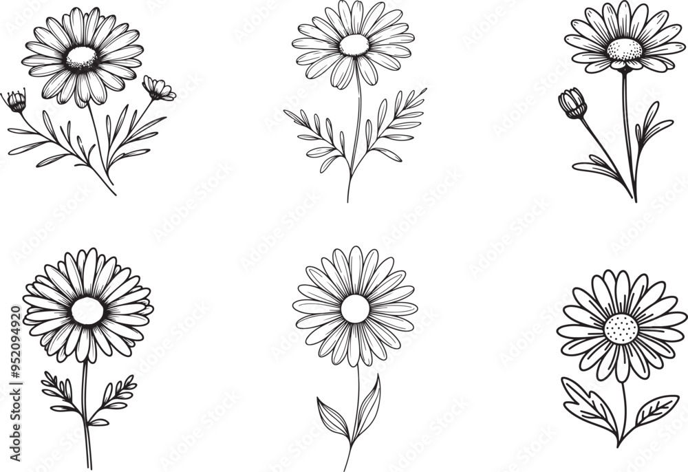 White daisy flower Line Art Coloring Page - Cartoon Silhouette, Clipart ...