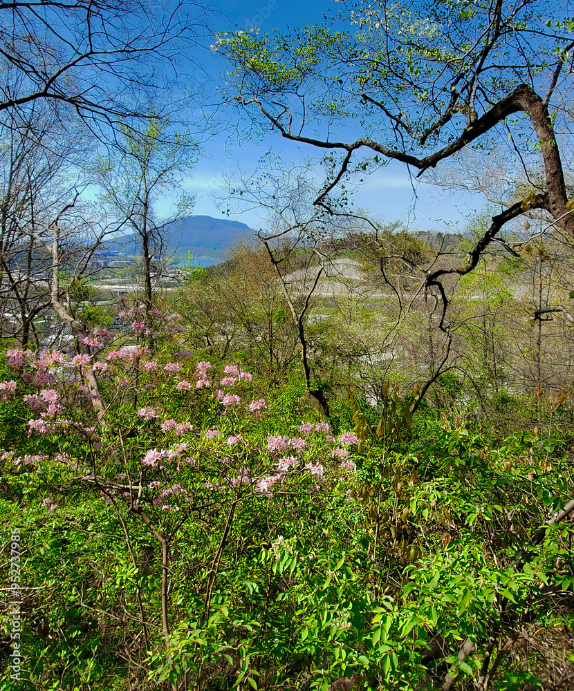 Chattanooga, the Tennessee River, and Lookout Mountain are visible ...