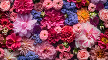 Colorful Flower Blossom Clipart Free Stock Photo - Public Domain Pictures