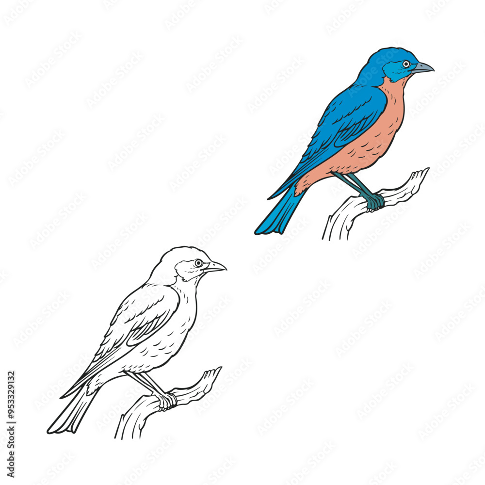 bluebird isolated on white background. hand drawn. simple design. black ...
