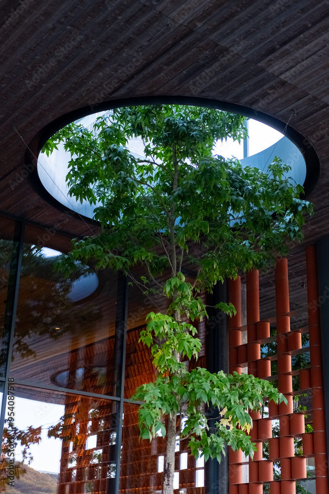 Contemporary architectural design with a tree integrated through a ...