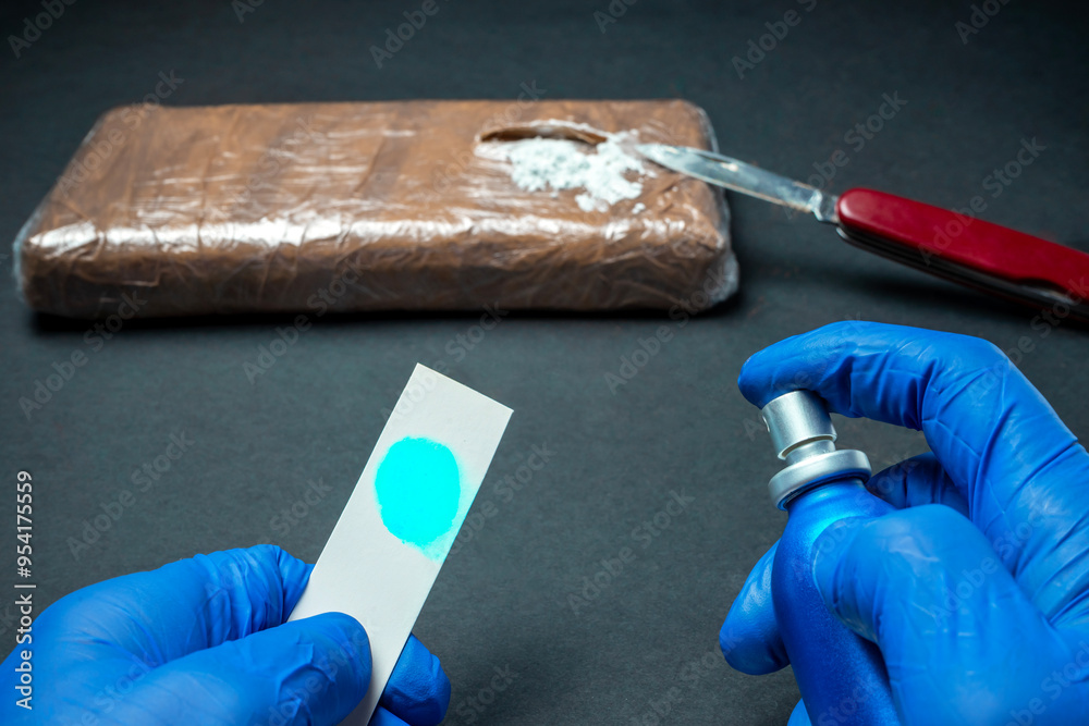 Positive cocaine test result in seized drug package from police ...