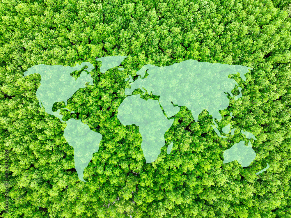 Стокове фото World map above green mangrove forest. Net zero emissions ...