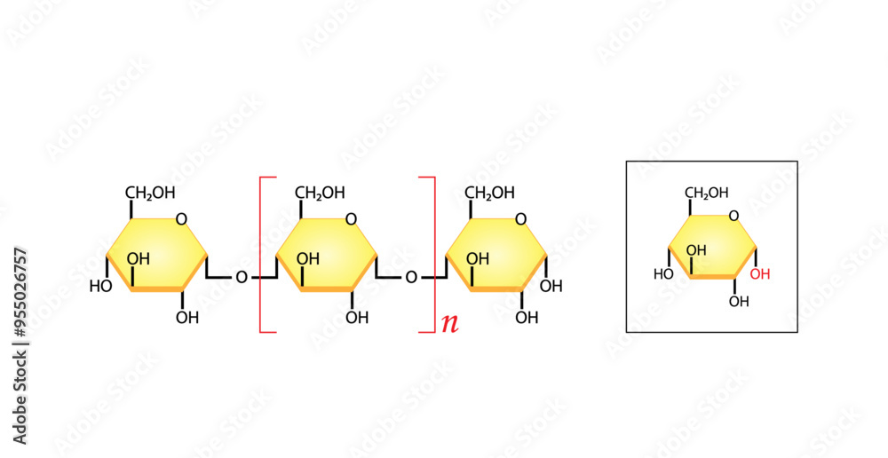 Amylose molecule. Starch molecule, Polysaccharide. chemical structure ...