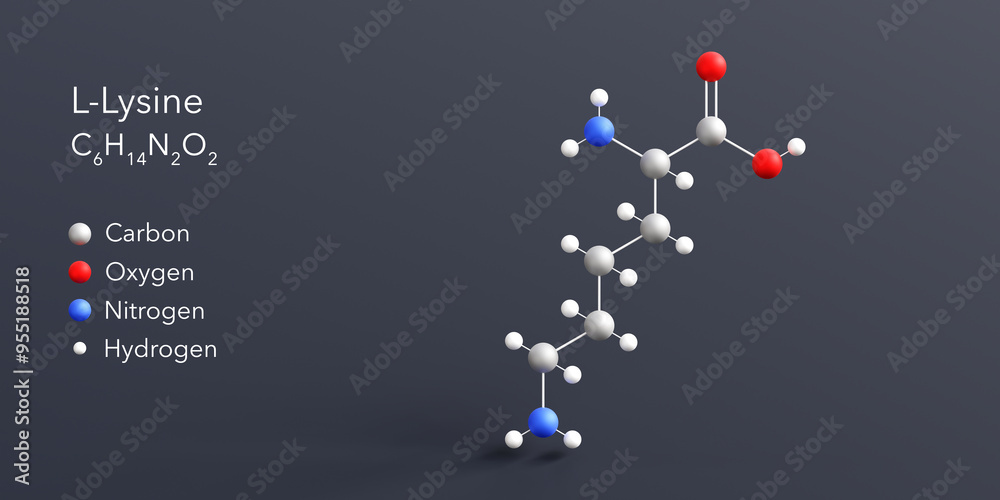 l-lysine molecule 3d rendering, flat molecular structure with chemical ...