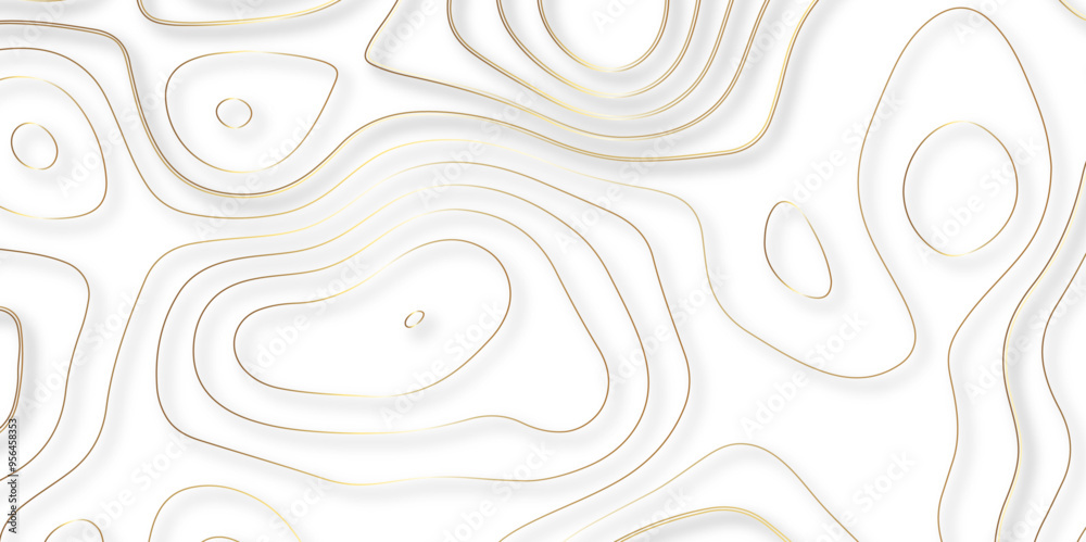 The Interplay of Topography and Topology in Vector Map Creation and Its ...