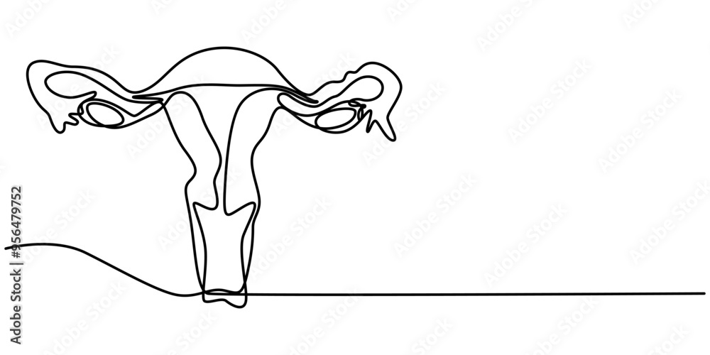 Continuous single one line drawing Uterus and ovaries, organs of female ...