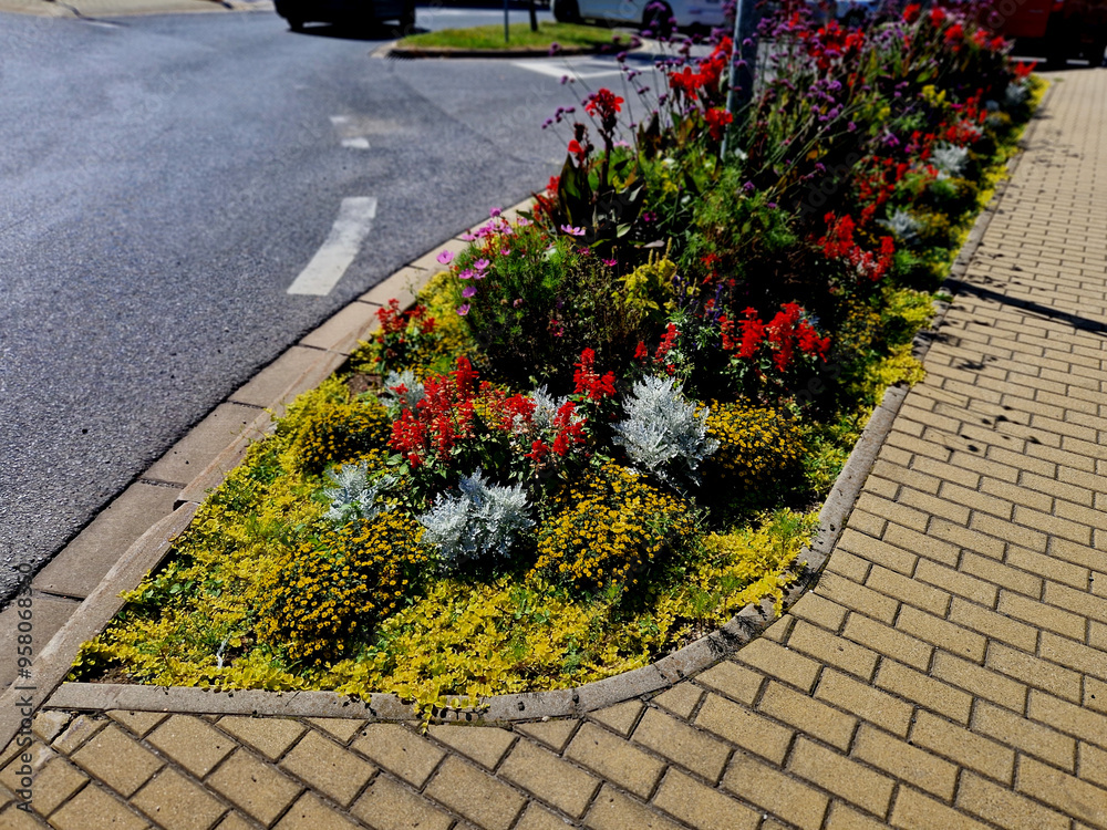 tropical flowerbed in a city park of temperate climate with a banana ...