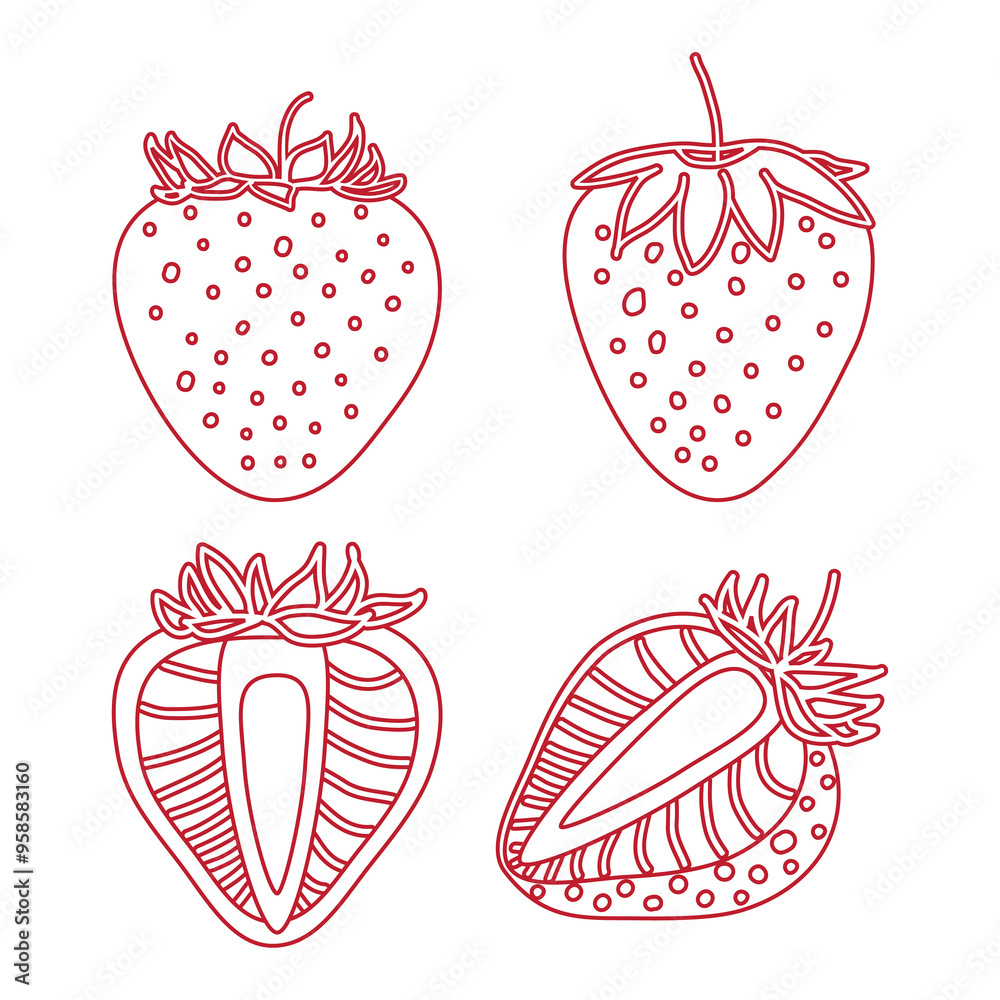 Strawberry drawing, hand drawn botanical illustration set. Collection ...