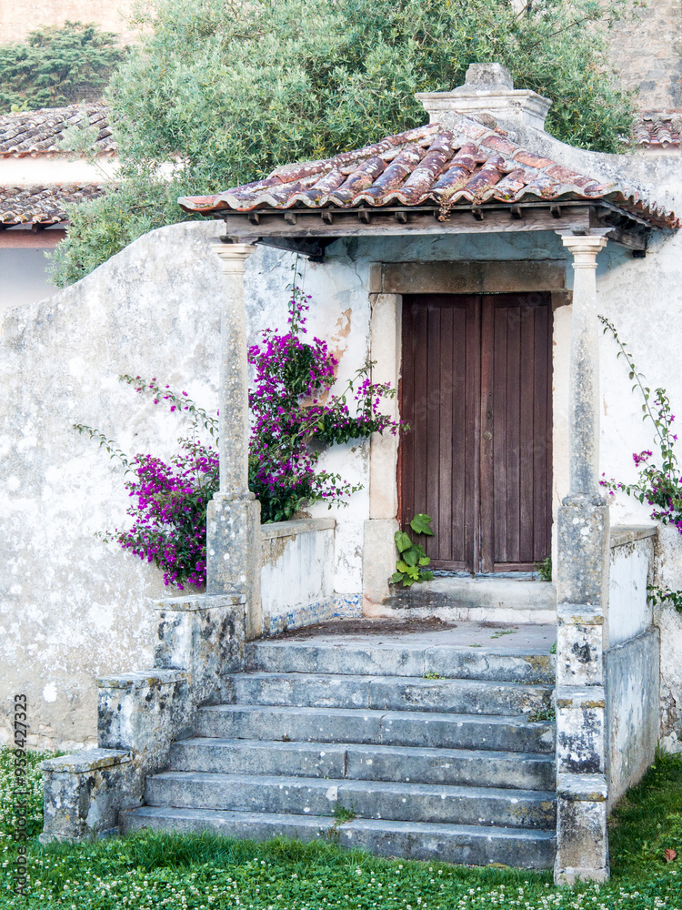 Portugal, Obidos. Dark purple bougainvillea vine growing along side the ...
