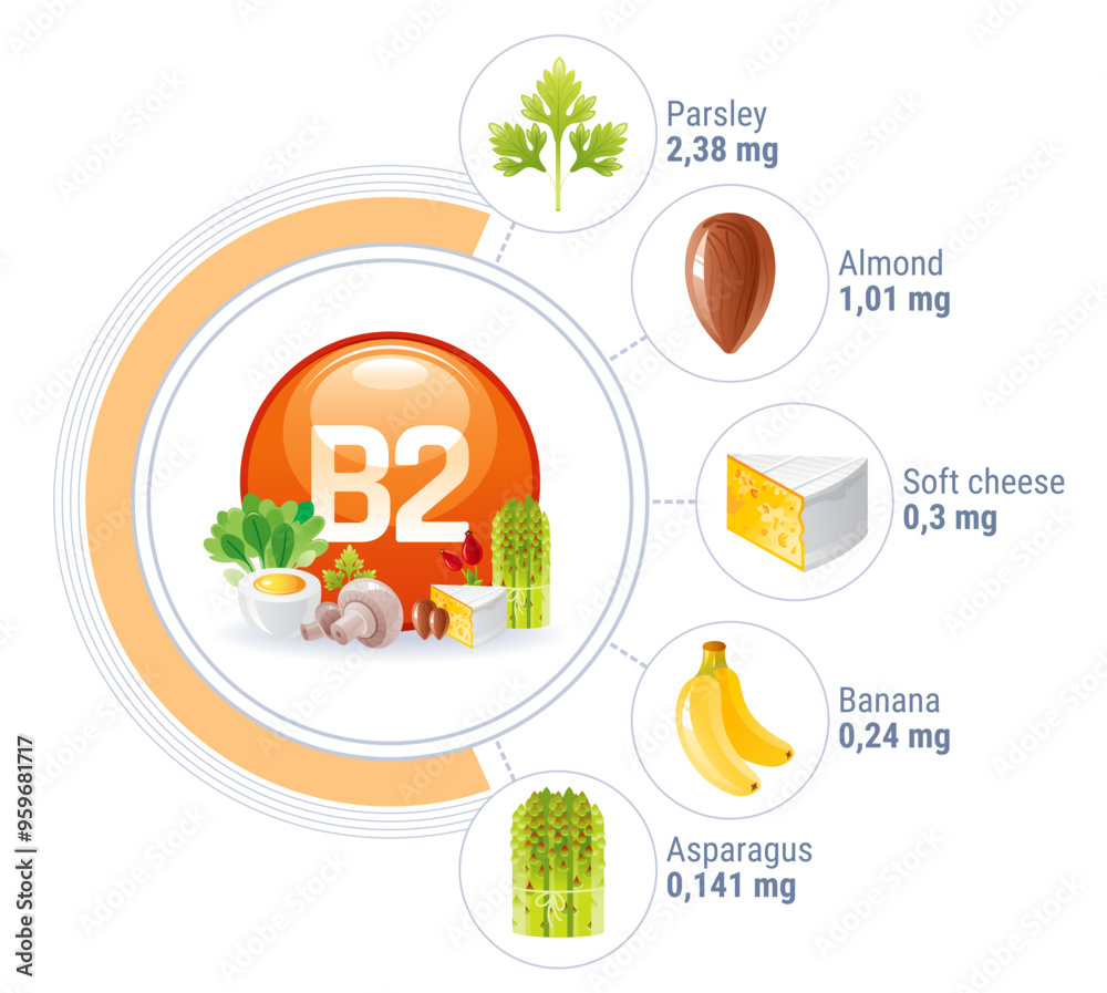 Icons of vitamin B2, Riboflavin and food. Diet and healthcare ...