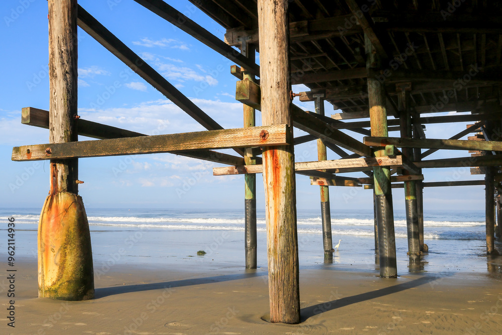 Battered historic Crystal pier abutment timber piles deep rooted in the ...
