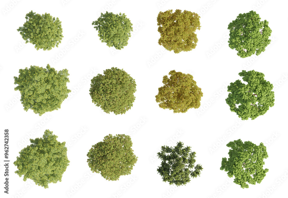 set of trees rendered from the top view, 3D illustration, for digital ...