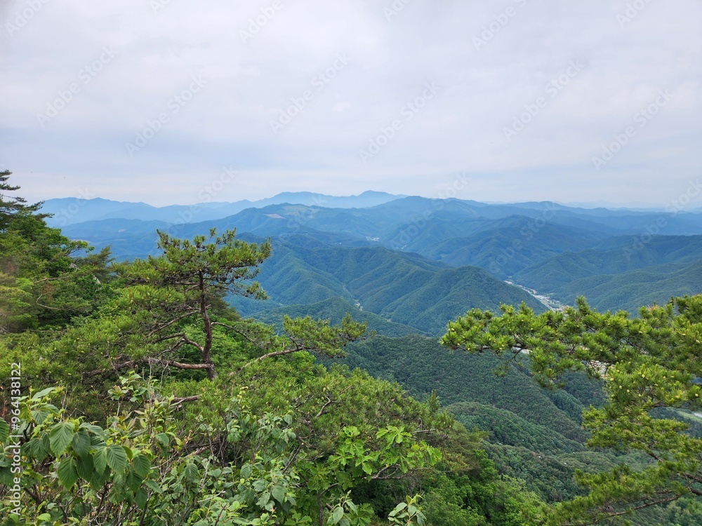 Summer Landscape of Samaksan Mountain with Pine Trees, Chuncheon, South ...