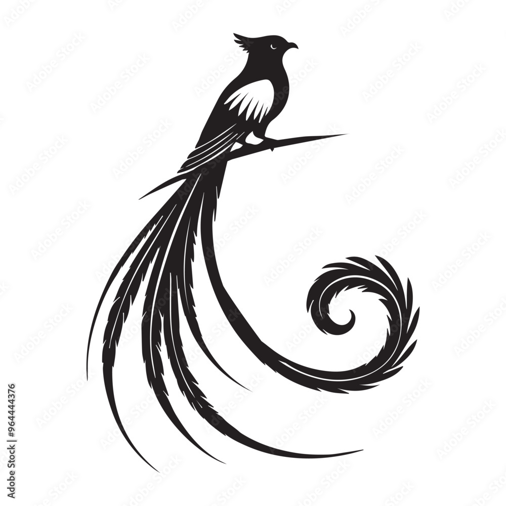 Bird Clipart - Resplendent quetzal Silhouette - Resplendent Quetzal ...