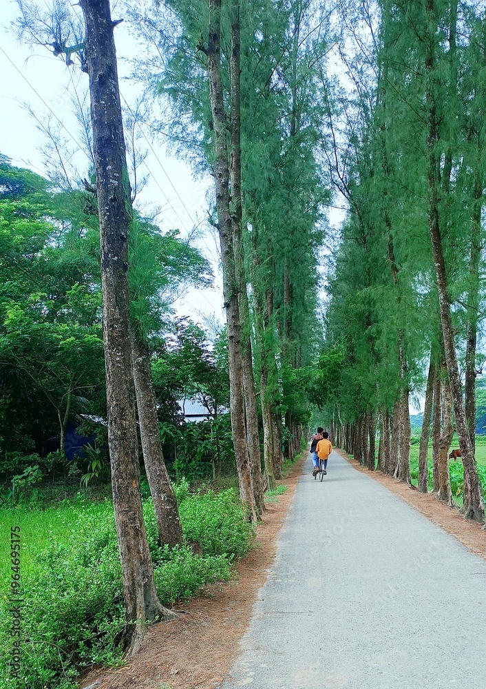 Rood show nature Wallpaper photo and image Stock Photo | Adobe Stock