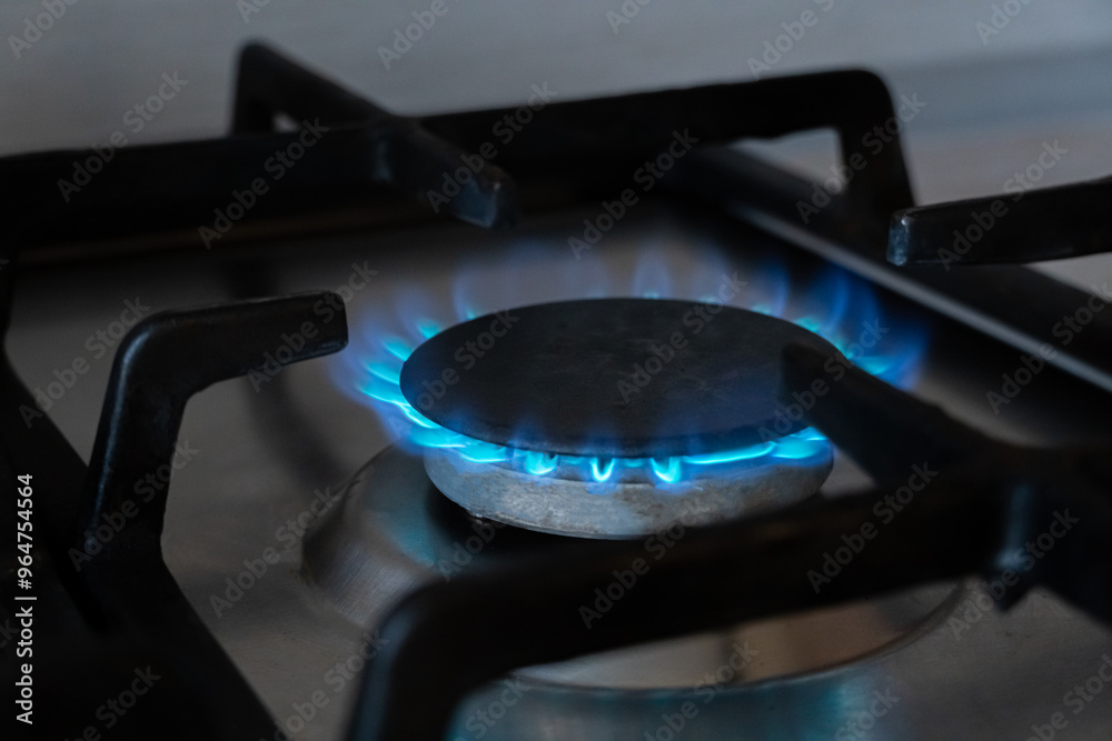 Blue fuel burns in a gas stove burner. Strategic natural gas reserves ...