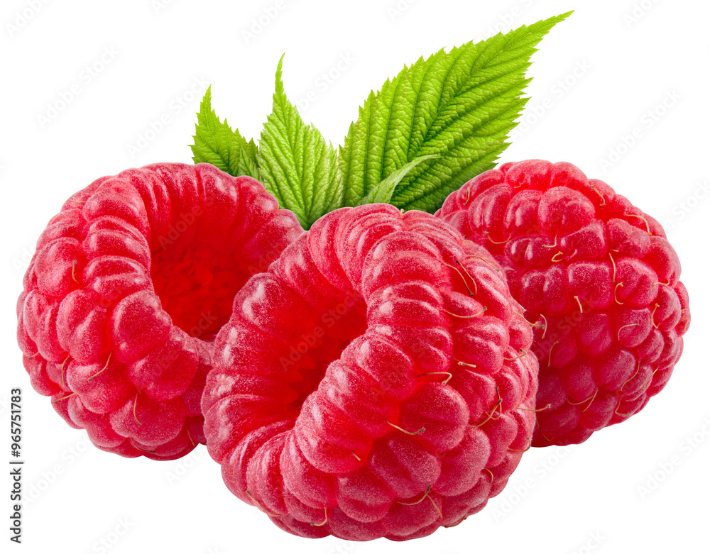 Raspberry isolated png. Three raspberries on transparent background ...