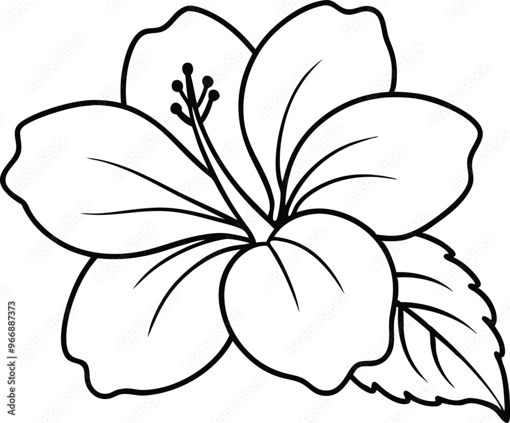 Tropical Hibiscus Flower Coloring Page - Cartoon Vector Illustration ...