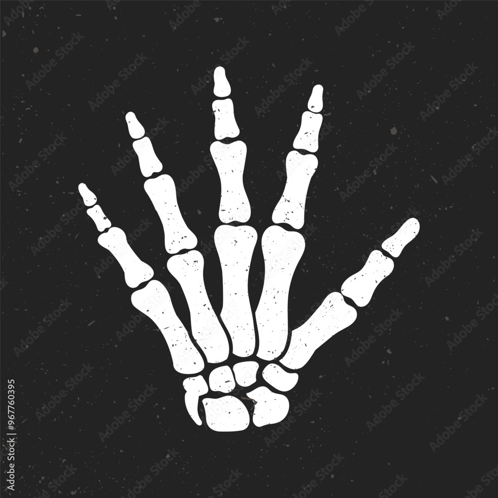Skeleton hand, five phalanges of fingers. Vector clip art illustration and grunge texture. Stock ...