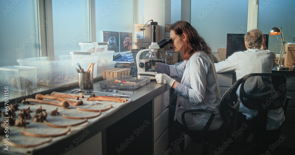 Female chemist or microbiologist conducts fossil analysis under ...