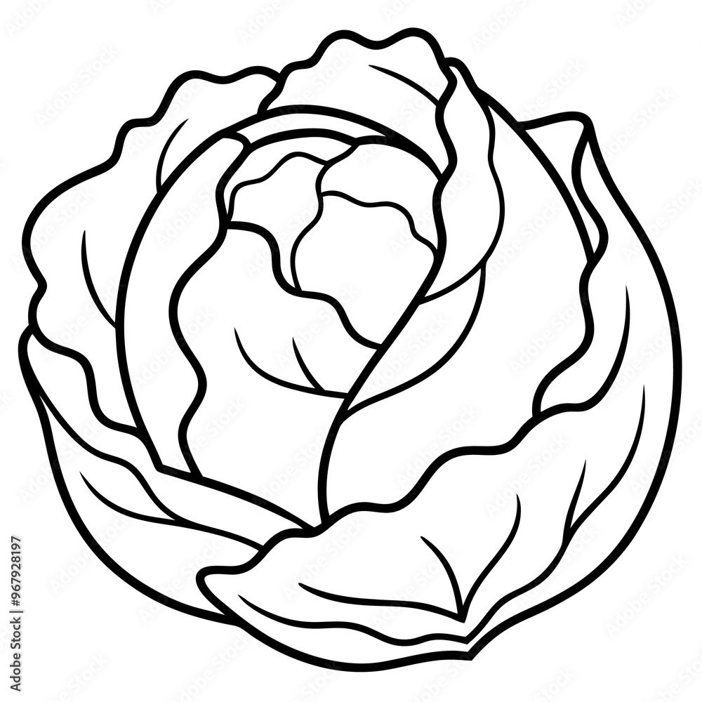 cabbage vegetable outline coloring book page line art illustration ...