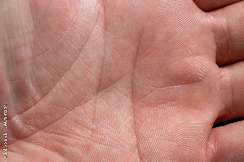 Texture of the inner palm of a hand, highlighting the skin pattern and ...