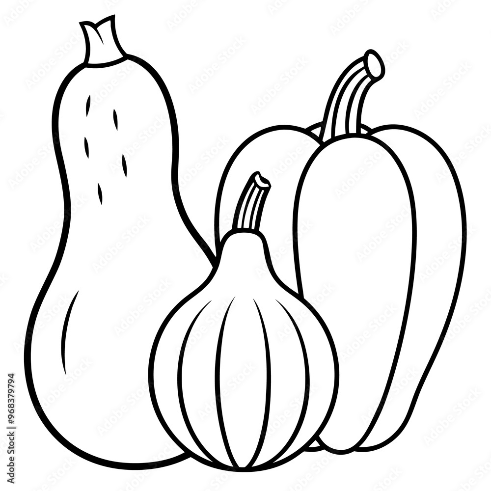 parsnips butternut squash acorn squash vegetables outline coloring book ...