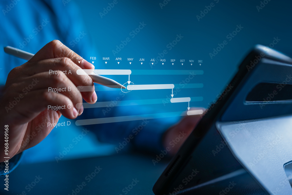 Milestone, Progress planning, Schedule proceeding for summary reports ...