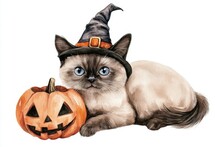 Siamese Cat Watercolor Illustration Free Stock Photo - Public Domain ...