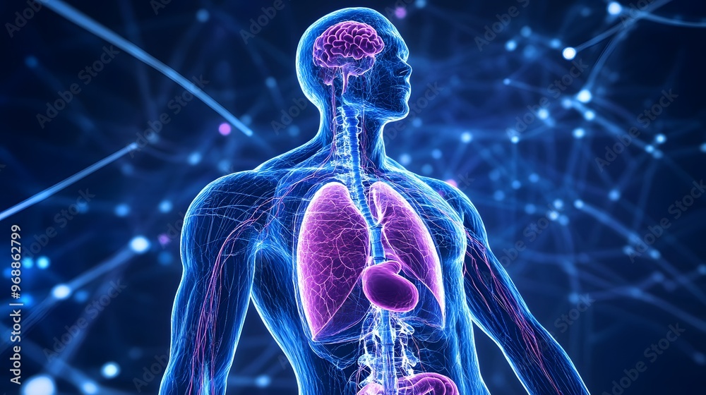 8. Visual representation of the autonomic nervous system is control ...