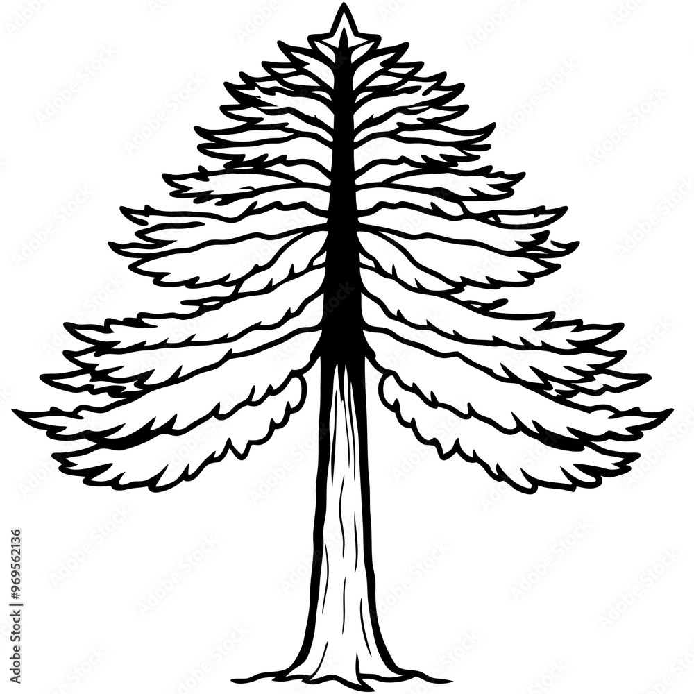 redwood tree outline coloring book page line art drawing Stock Vector ...
