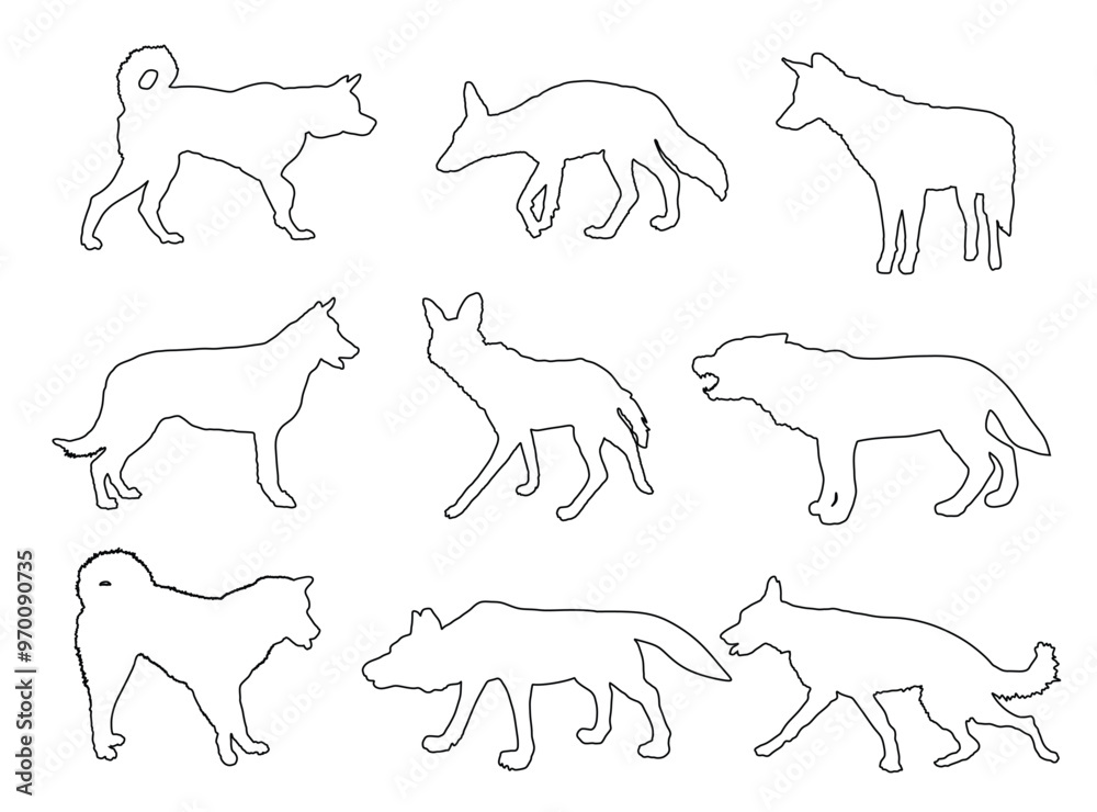 Wolf, coyote, jackal and dog collection vector silhouette illustration isolated. Maned wolf ...