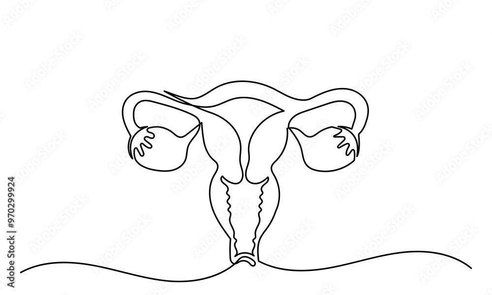 Continuous line drawing of women's Uterus and Ovary. One line Female ...